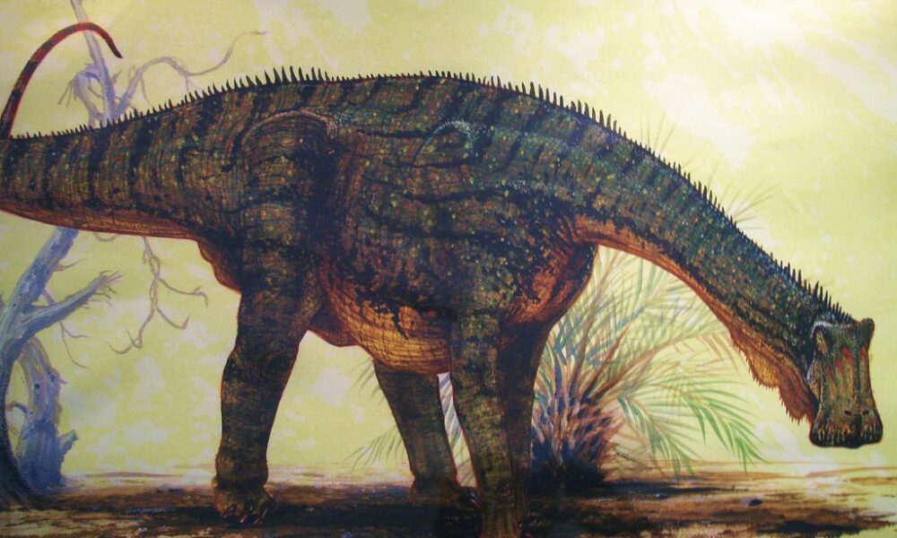 On This Day, England became World Cup winners - Sporting Ferret