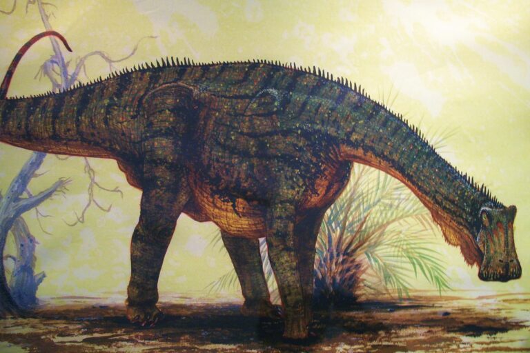 What Dinosaur Has 500 Teeth? - The Sporting Ferret